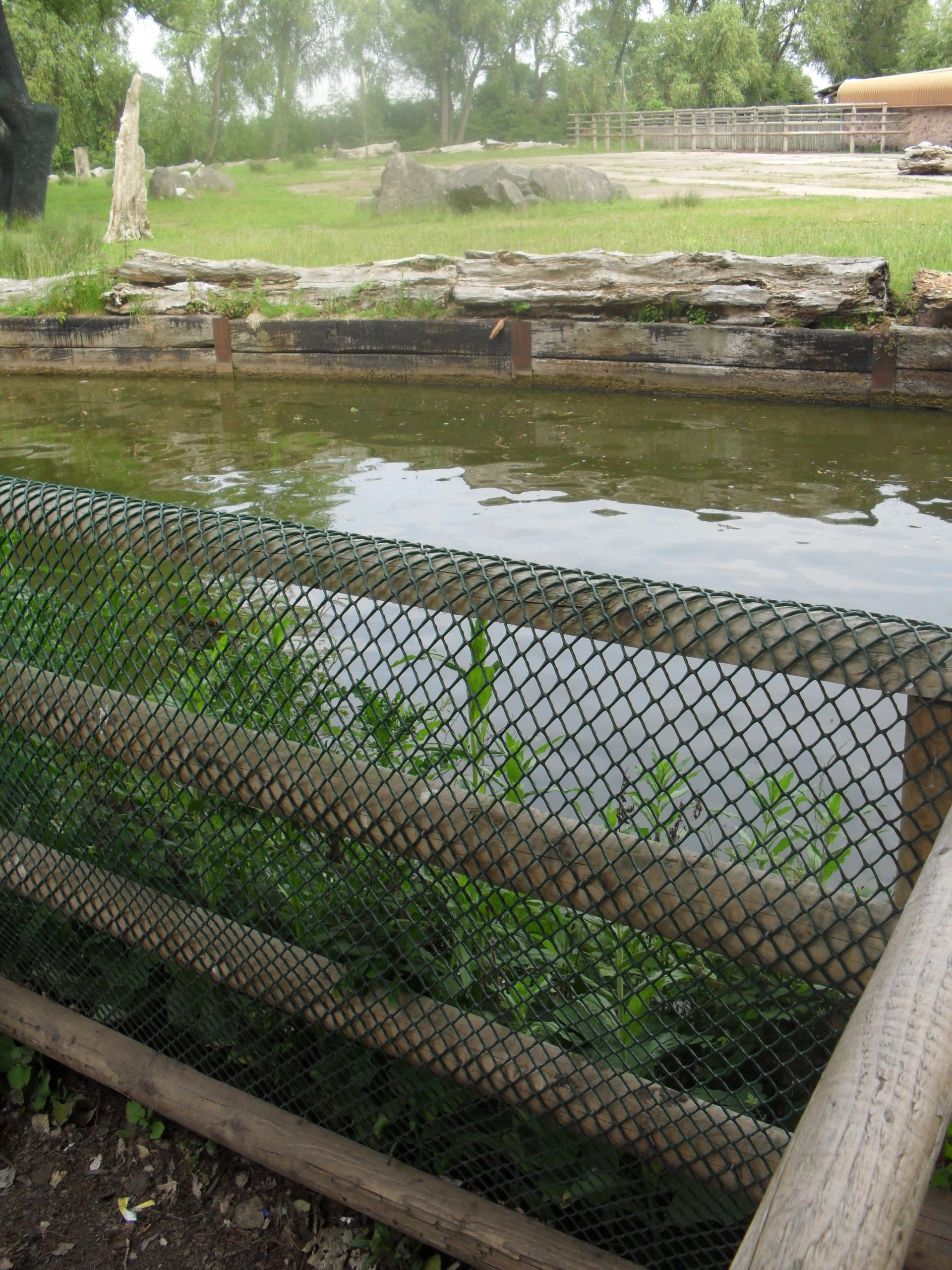 Grass Reinforcement Products in UK | Ground Stores