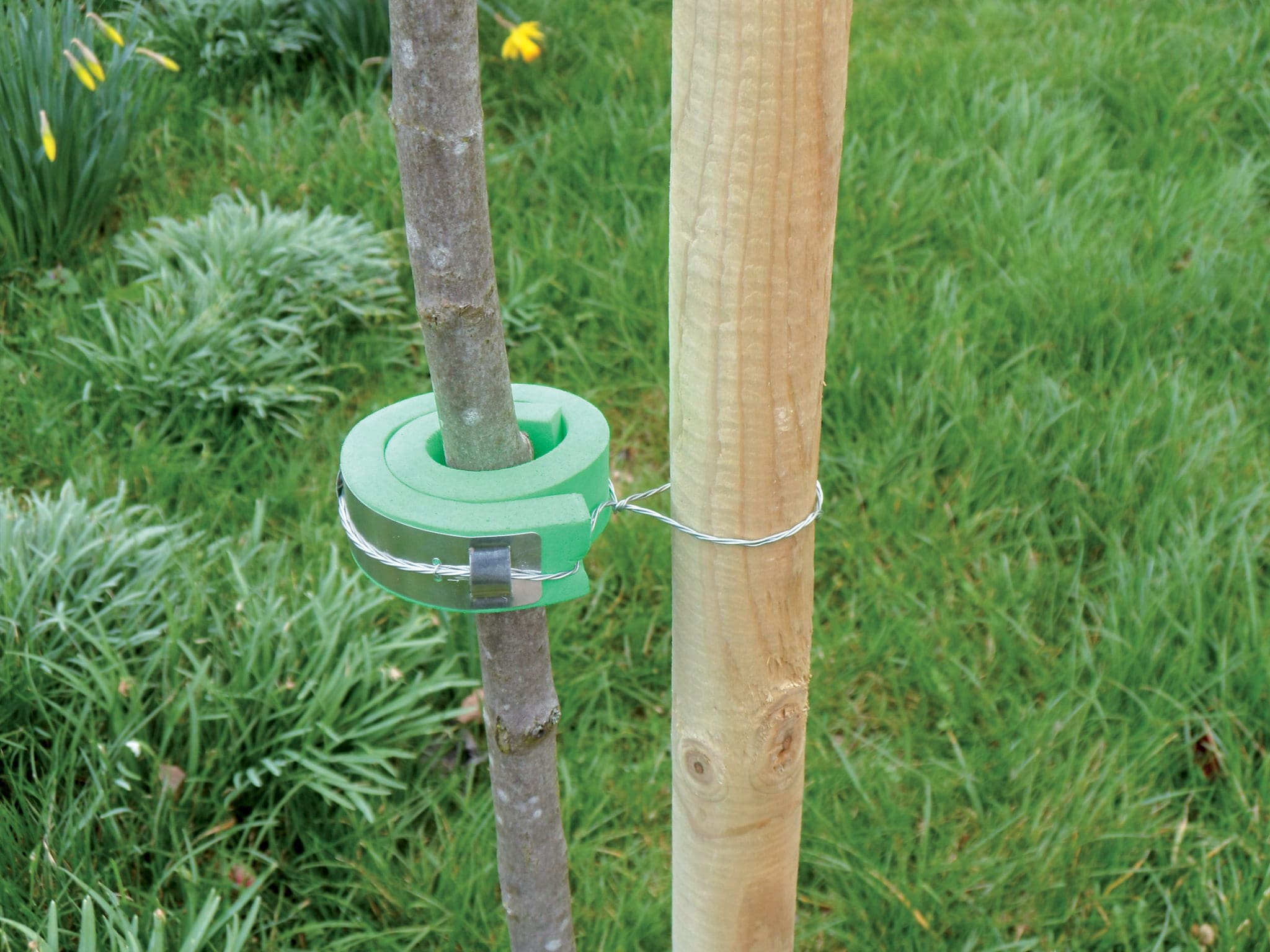 Tree Stakes and Tree Ties - GroundStores
