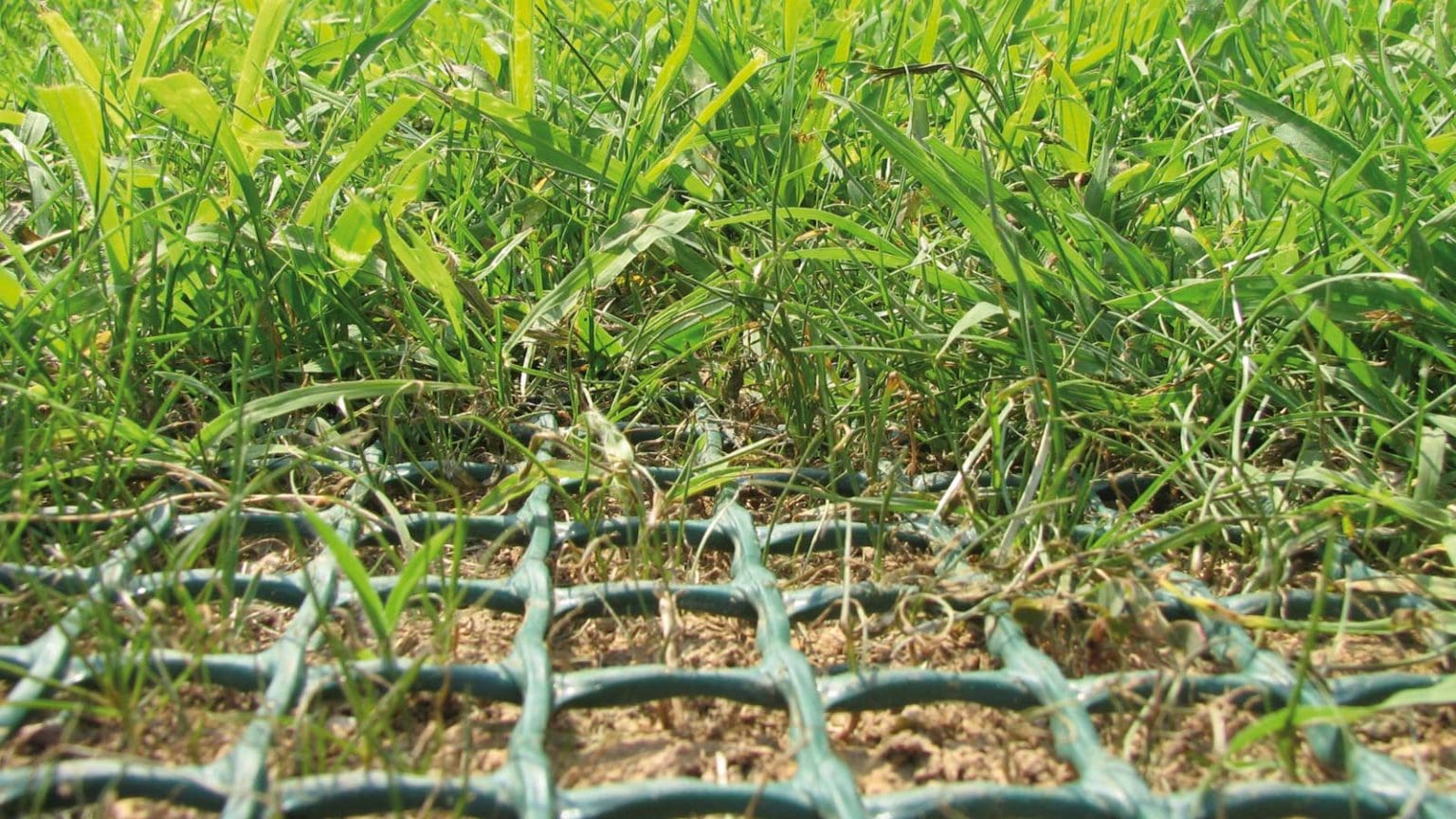 Grass Reinforcement Products in UK | Ground Stores