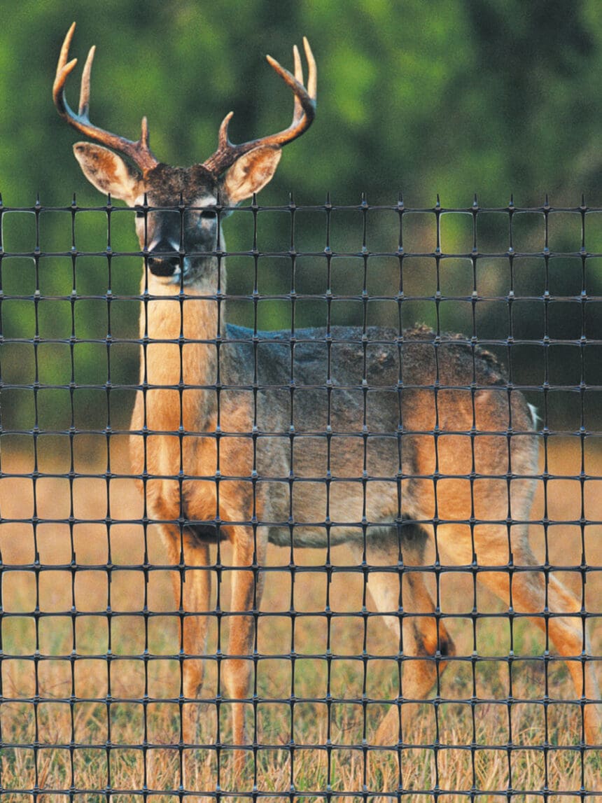 Wildlife-Friendly Deer Fencing: Keeping Deer Out Without Harming Them ...